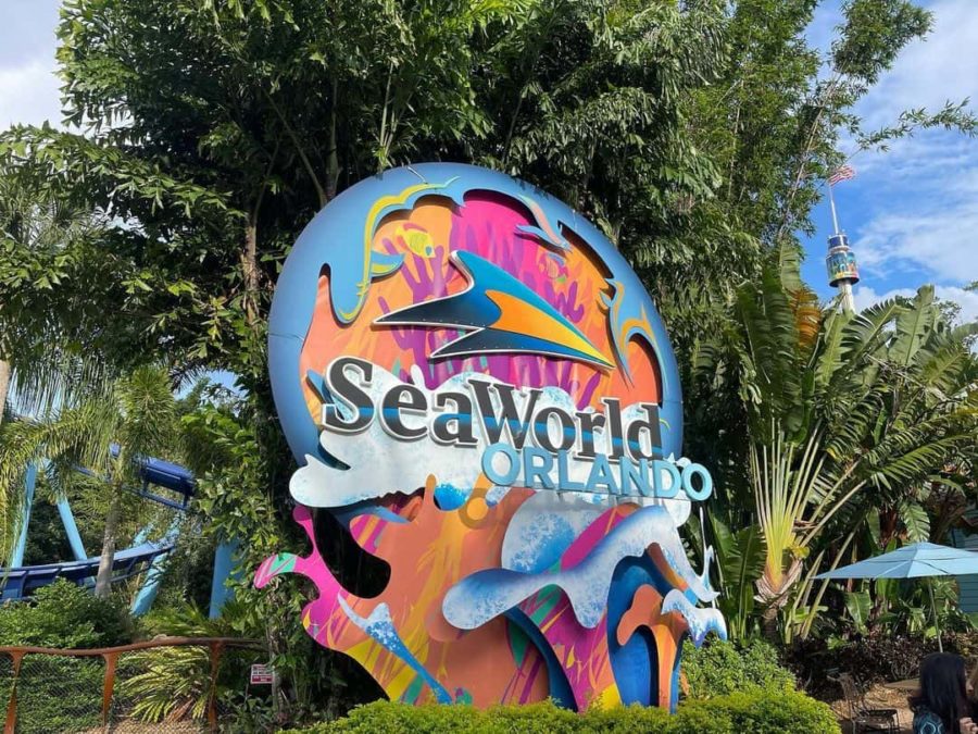 🎟️ SeaWorld Orlando 2-Day Ticket Multi-Park Discount